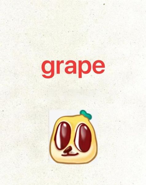 葡萄的英文怎么读_葡萄英文发音技巧-第1张图片-山城妙识