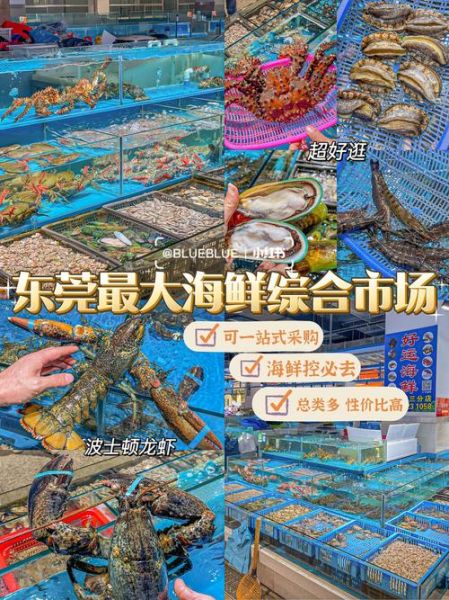海鲜市场是什么平台_怎么在上面买海鲜-第2张图片-山城妙识