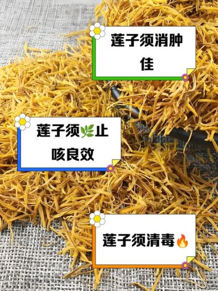 莲子须的功效与作用禁忌_孕妇能吃吗-第1张图片-山城妙识 莲子须的功效与作用禁忌_孕妇能吃吗-第1张图片-山城妙识