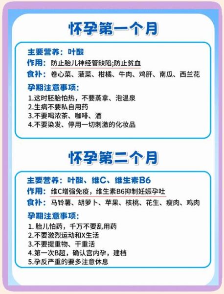 怀孕初期注意什么_怀孕初期饮食禁忌-第1张图片-山城妙识