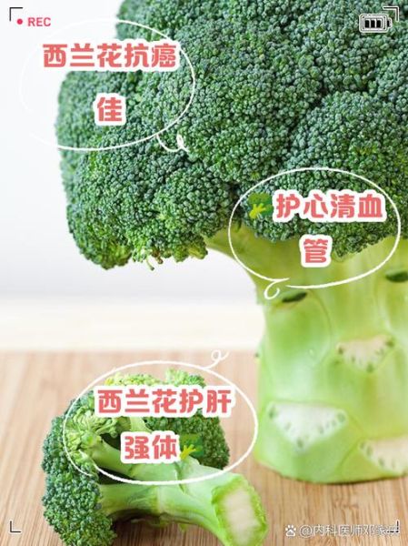 西兰花有什么功效_西兰花怎么吃最营养-第1张图片-山城妙识