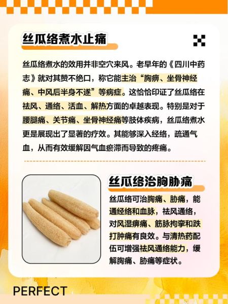 老丝瓜络煮水喝的禁忌_哪些人不能喝-第3张图片-山城妙识