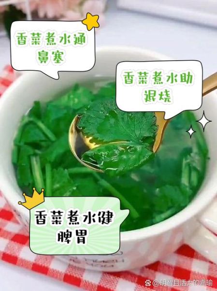 香菜煮水喝真的能减肥吗_香菜水减肥原理-第1张图片-山城妙识