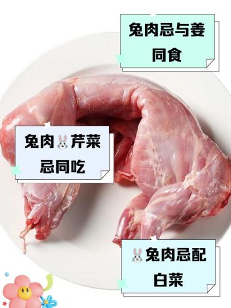 兔肉不能和什么一起吃_吃兔肉的禁忌有哪些-第1张图片-山城妙识