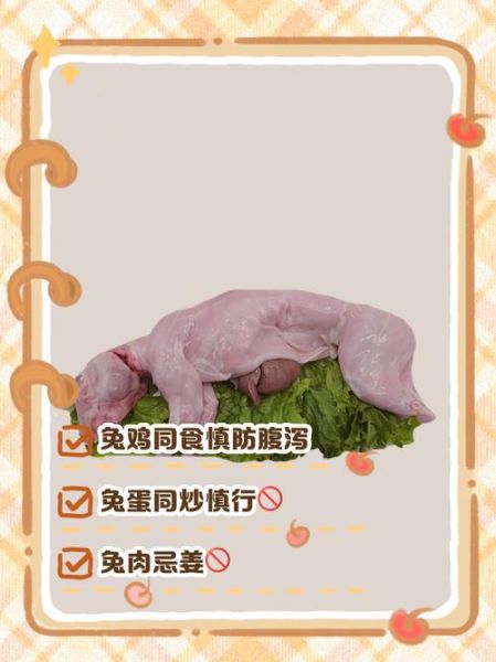 兔肉不能和什么一起吃_吃兔肉的禁忌有哪些-第2张图片-山城妙识