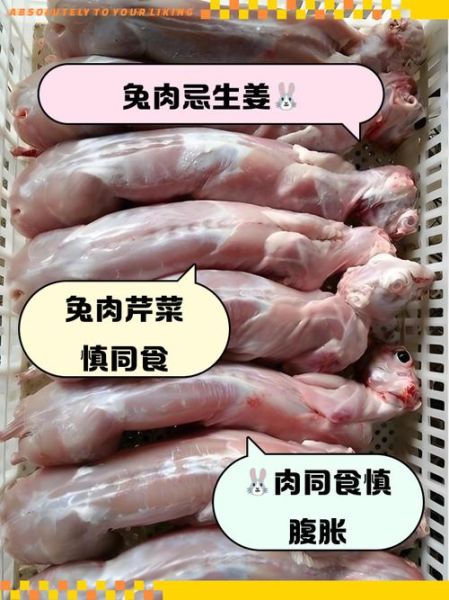 兔肉不能和什么一起吃_吃兔肉的禁忌有哪些-第3张图片-山城妙识
