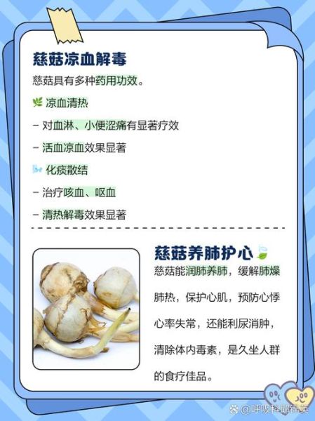 慈菇是什么_慈菇的功效与作用-第1张图片-山城妙识