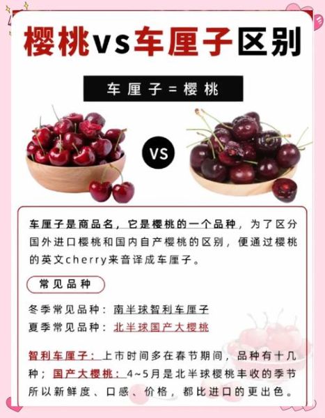 山东大樱桃和车厘子区别_如何辨别真假车厘子-第3张图片-山城妙识