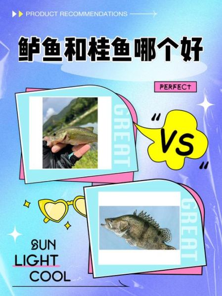 鲈鱼和桂鱼哪个好_鲈鱼和桂鱼哪个好吃-第1张图片-山城妙识 鲈鱼和桂鱼哪个好_鲈鱼和桂鱼哪个好吃-第1张图片-山城妙识