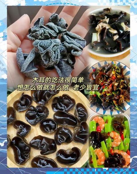 最好的木耳是什么品种_东北黑木耳和椴木木耳哪个好-第2张图片-山城妙识