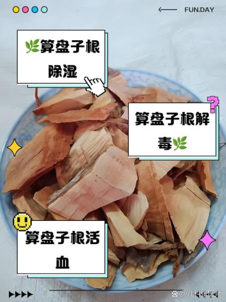 算盘子根能长期喝吗_算盘子根长期喝有什么副作用-第1张图片-山城妙识