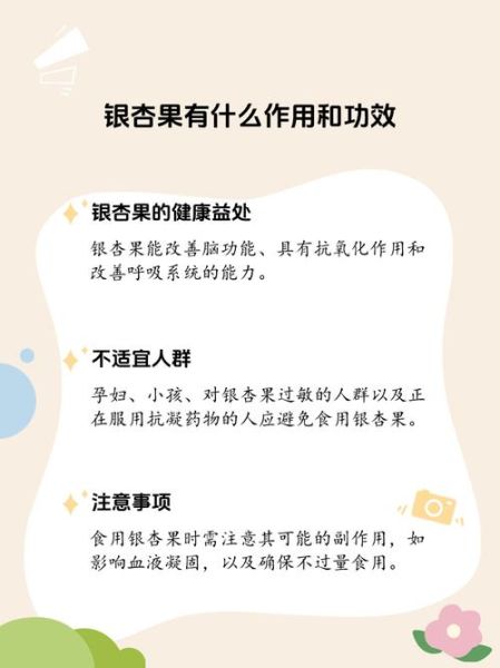 银杏白果的功效与作用_银杏白果怎么吃最养生-第2张图片-山城妙识