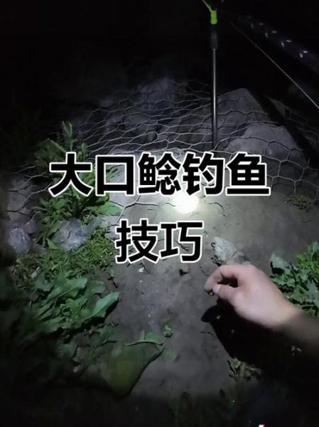 大口鲶鱼怎么钓_大口鲶鱼吃什么饵料-第3张图片-山城妙识