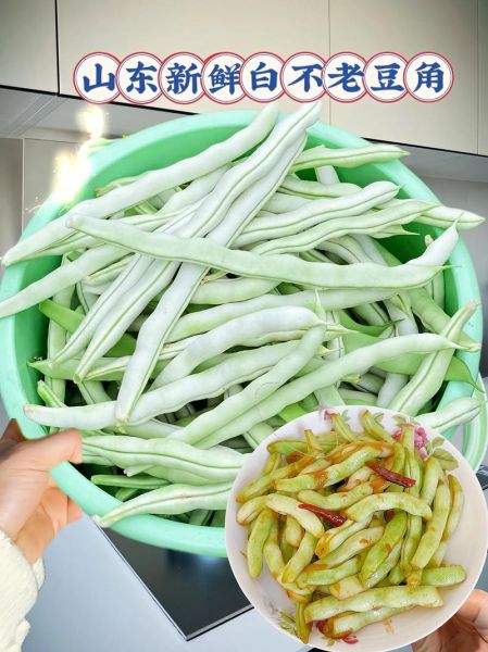 云豆角的功效与作用_云豆角怎么吃最营养-第1张图片-山城妙识