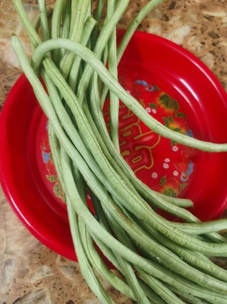 素炒豆角怎么做_家常素炒豆角要不要焯水-第1张图片-山城妙识