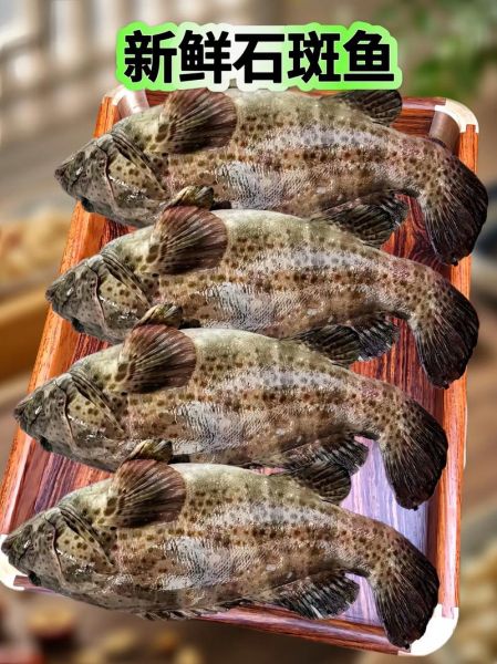 清蒸石斑鱼怎么做才鲜嫩_清蒸石斑鱼用什么火候-第1张图片-山城妙识 清蒸石斑鱼怎么做才鲜嫩_清蒸石斑鱼用什么火候-第1张图片-山城妙识