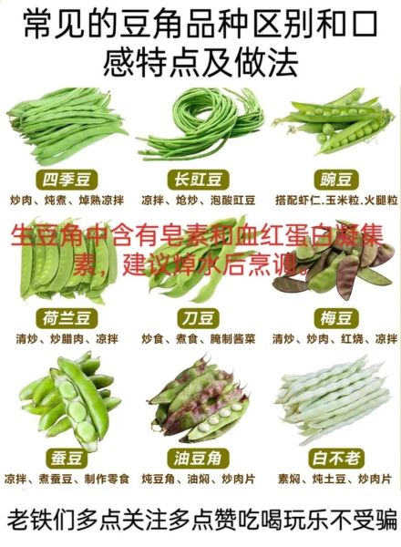 豆子的种类有哪些_常见豆类品种大全-第2张图片-山城妙识