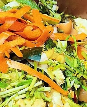 蟹壳属于什么垃圾_蟹壳是干垃圾还是湿垃圾-第3张图片-山城妙识