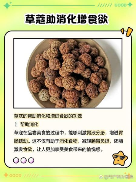 草寇图片_草寇香料怎么用-第2张图片-山城妙识 草寇图片_草寇香料怎么用-第2张图片-山城妙识