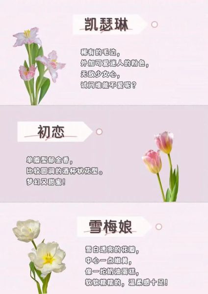 郁金香花语是什么_不同颜色寓意有何区别-第3张图片-山城妙识 郁金香花语是什么_不同颜色寓意有何区别-第3张图片-山城妙识