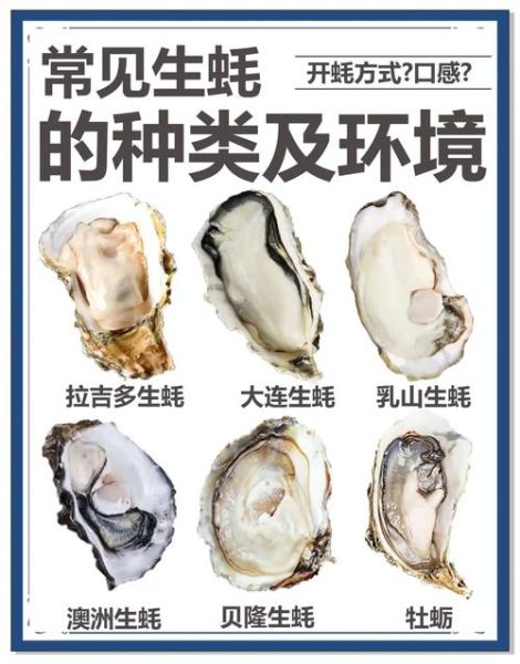 牡蛎和生蚝是一个东西吗_区别与营养价值-第3张图片-山城妙识 牡蛎和生蚝是一个东西吗_区别与营养价值-第3张图片-山城妙识