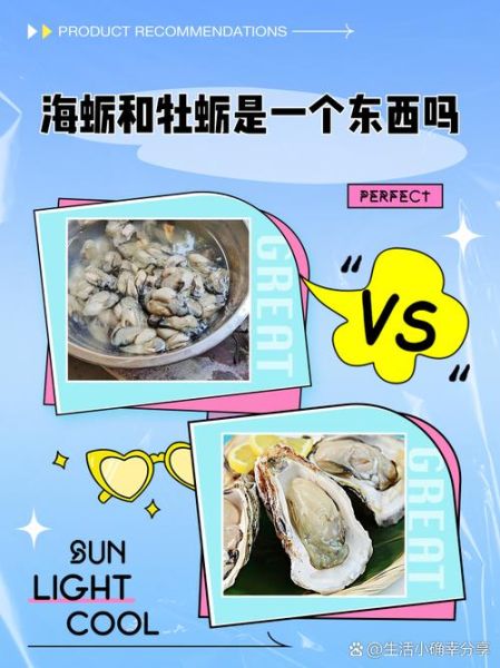 牡蛎和生蚝是一个东西吗_区别与营养价值-第1张图片-山城妙识 牡蛎和生蚝是一个东西吗_区别与营养价值-第1张图片-山城妙识
