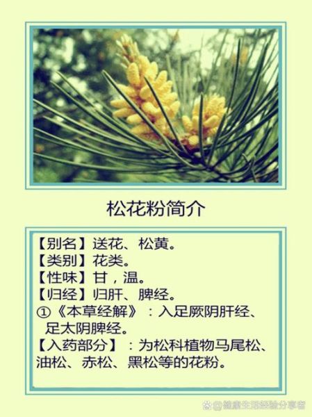 松花粉的功效与作用禁忌_什么人不能吃-第1张图片-山城妙识