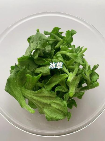 冰草用沙拉酱还是千岛酱_哪个更搭-第1张图片-山城妙识