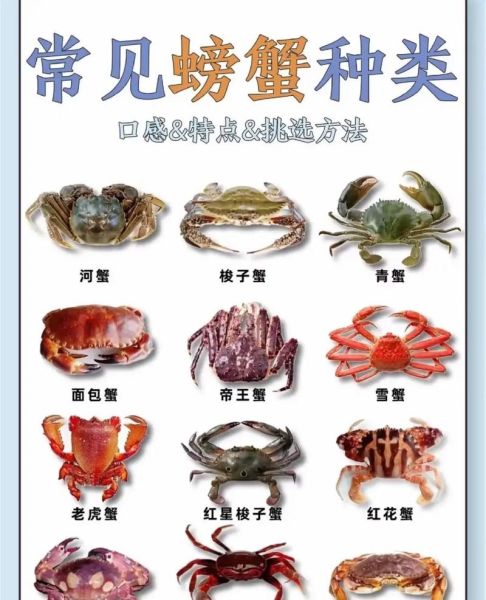 海蟹种类大全_海蟹图片怎么分辨-第2张图片-山城妙识