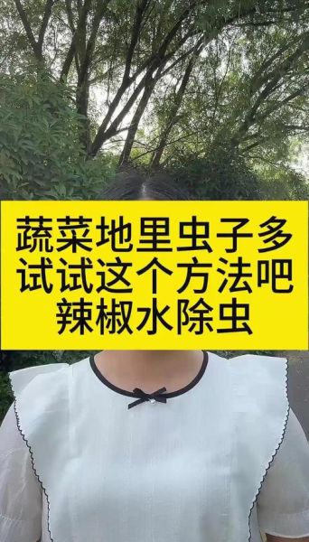辣椒水可以杀虫吗_自制辣椒水杀虫剂配方-第1张图片-山城妙识