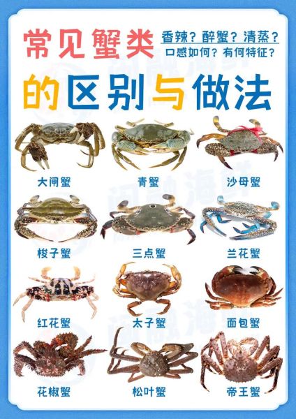 海蟹种类大全_海蟹图片怎么分辨-第3张图片-山城妙识