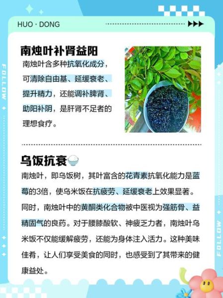 乌米饭怎么做_乌米饭用什么树叶-第1张图片-山城妙识