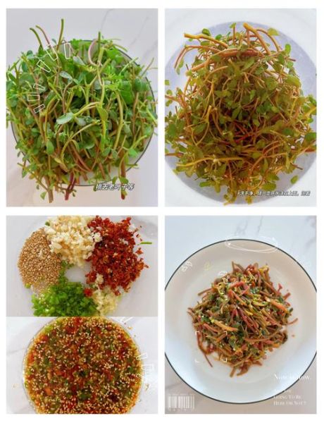 马齿苋怎么凉拌好吃_马齿苋凉拌要不要焯水-第3张图片-山城妙识