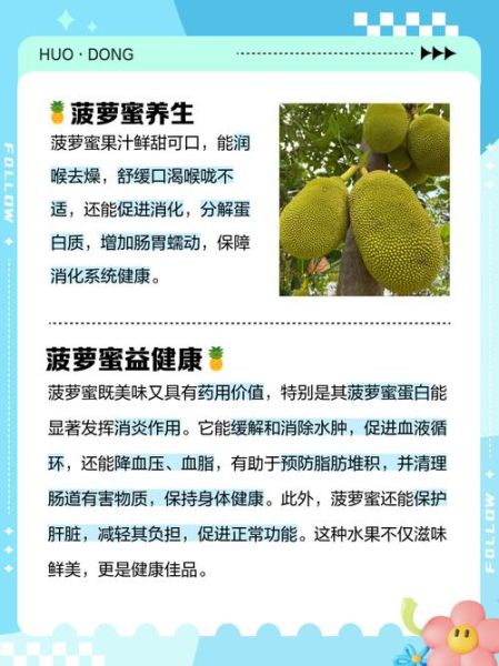 菠萝蜜吃了有什么好处_菠萝蜜的营养价值-第3张图片-山城妙识 菠萝蜜吃了有什么好处_菠萝蜜的营养价值-第3张图片-山城妙识