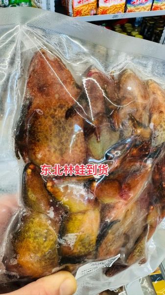 东北林蛙多少钱一斤_东北林蛙怎么养殖-第1张图片-山城妙识 东北林蛙多少钱一斤_东北林蛙怎么养殖-第1张图片-山城妙识