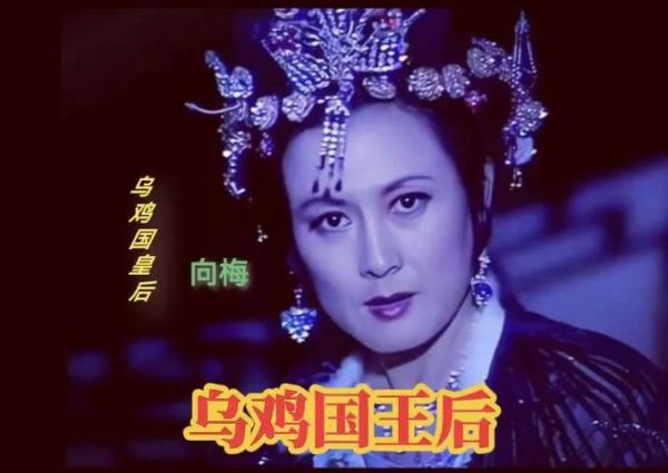 乌鸡国王后是谁_乌鸡国王后真实身份-第1张图片-山城妙识