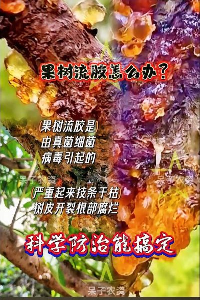 果胶的危害有哪些_果胶吃多了会怎样-第3张图片-山城妙识