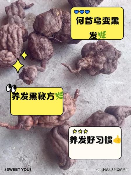 补肾粥21天白发变黑发是真的吗_如何正确熬制-第3张图片-山城妙识