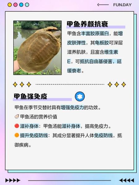 甲鱼有什么营养价值_甲鱼的功效与作用-第1张图片-山城妙识