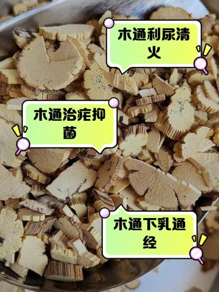 木通的功效与作用_木通的副作用有哪些-第2张图片-山城妙识