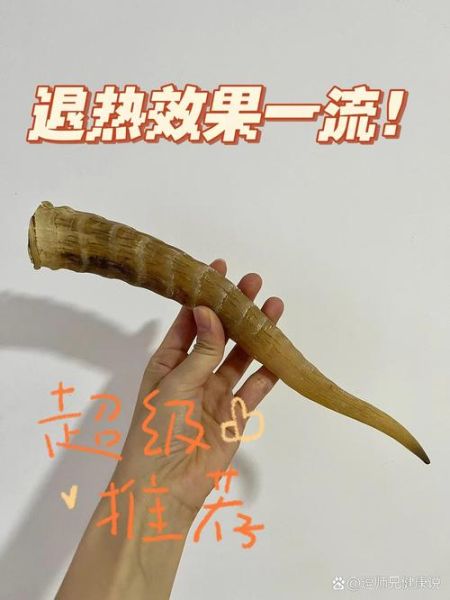 羚羊角粉的功效与作用_羚羊角粉怎么吃效果最好-第2张图片-山城妙识