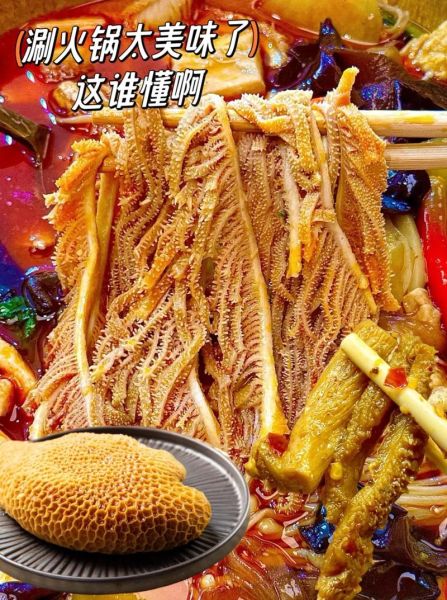 生牛肚怎么煮_熟牛肚多久能软烂-第3张图片-山城妙识