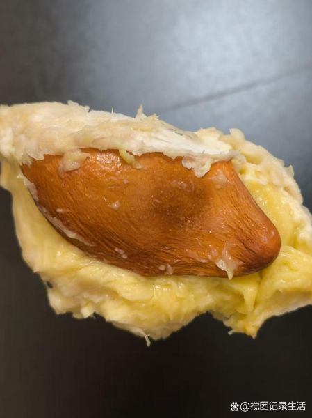 榴莲核能生吃吗_榴莲核怎么吃才安全-第3张图片-山城妙识