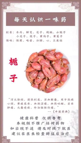 炒栀子的功效与作用_炒栀子的主治功能-第1张图片-山城妙识 炒栀子的功效与作用_炒栀子的主治功能-第1张图片-山城妙识