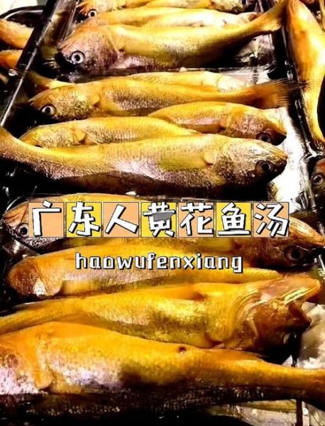 黄花鱼怎么炖汤好喝_黄花鱼汤去腥技巧-第2张图片-山城妙识 黄花鱼怎么炖汤好喝_黄花鱼汤去腥技巧-第2张图片-山城妙识