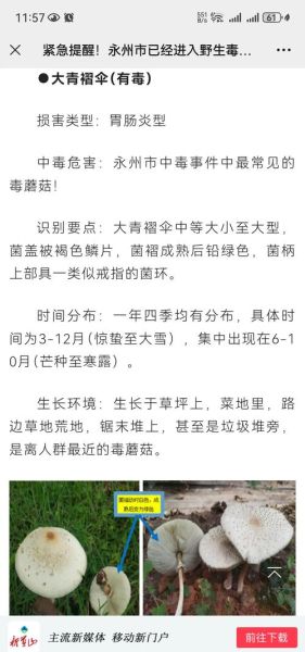 毒蘑菇中毒症状_毒蘑菇中毒怎么办-第3张图片-山城妙识