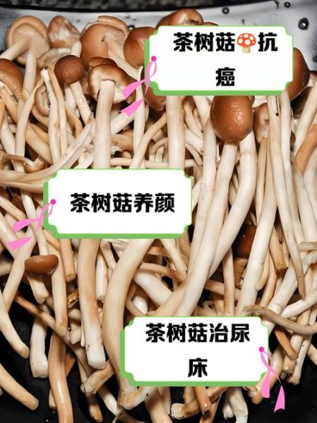 茶树菇吃多了有什么危害_茶树菇吃多了会上火吗-第1张图片-山城妙识 茶树菇吃多了有什么危害_茶树菇吃多了会上火吗-第1张图片-山城妙识