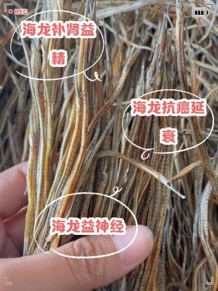 海龙鱼的功效与作用_海龙鱼怎么吃补肾壮阳-第1张图片-山城妙识