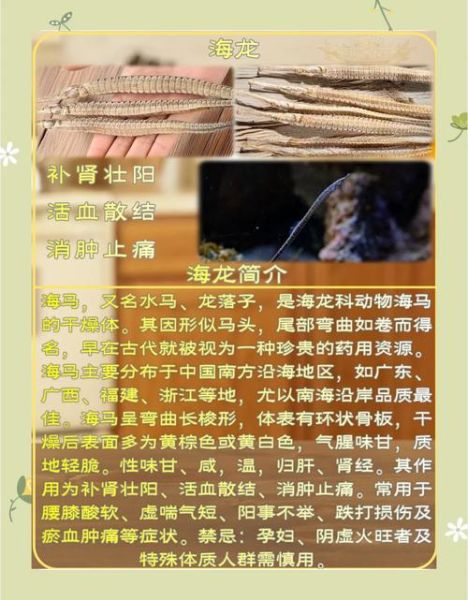 海龙鱼的功效与作用_海龙鱼怎么吃补肾壮阳-第2张图片-山城妙识