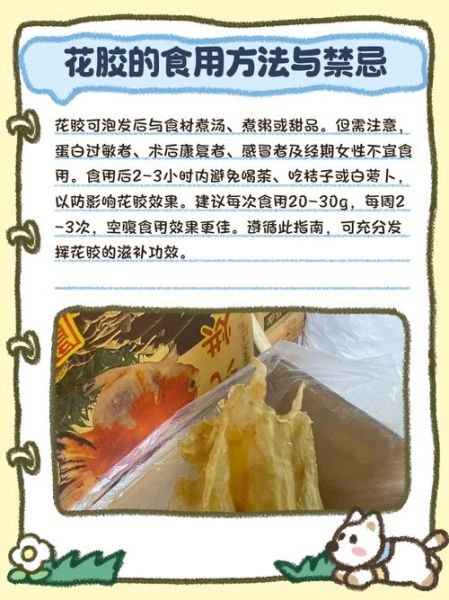 鱼肚是什么东西_鱼肚和花胶的区别-第1张图片-山城妙识